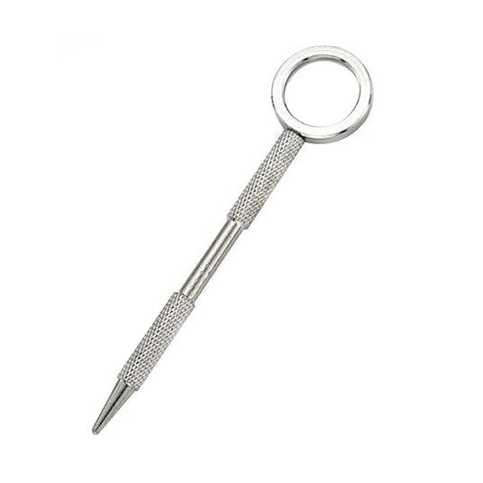 Ear probe with magnifier