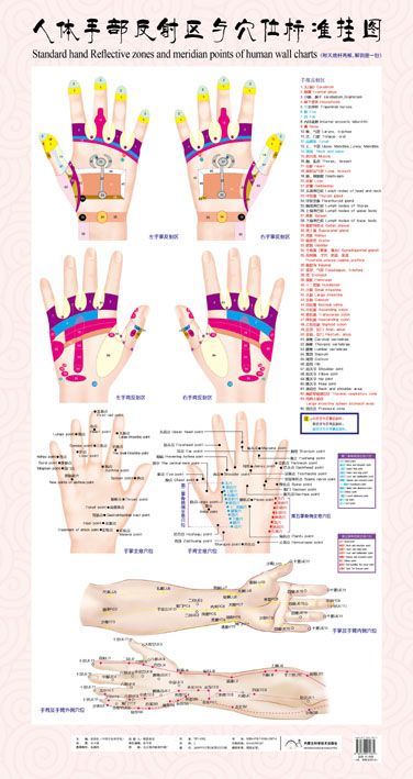 HAND CHART