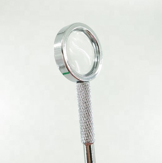 Ear probe with magnifier