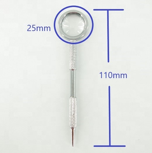 Ear probe with magnifier