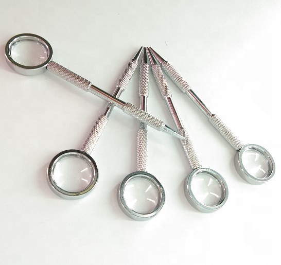 Ear probe with magnifier